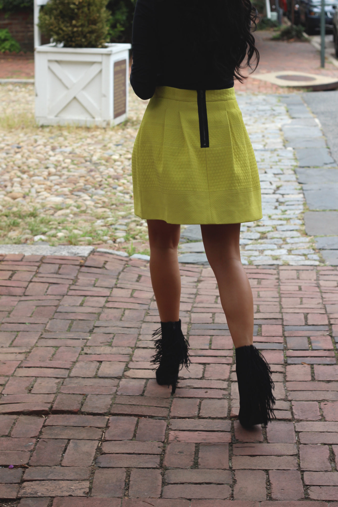 Fall Favorites x ZooShoo